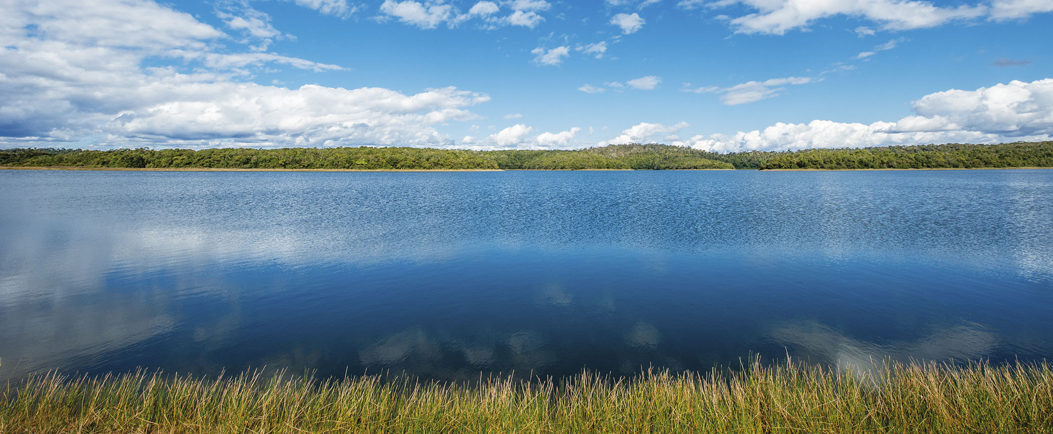 PARQUE ESTADUAL DO RIO DOCE: Reserva da Biosfera, Sitio Ramsar e ...