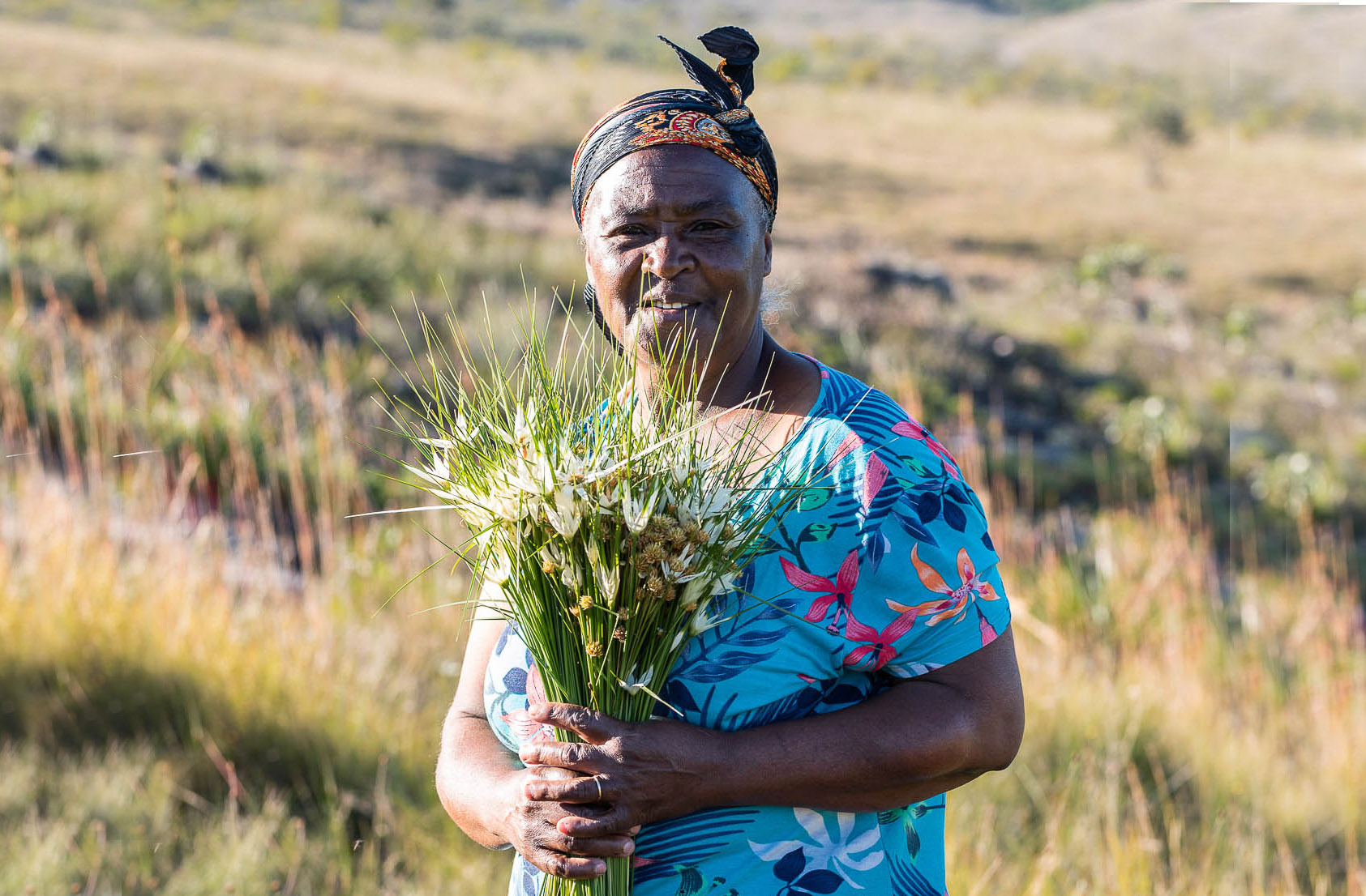 Atividade de apanhadores de sempre-vivas é também Patrimônio Cultural ...